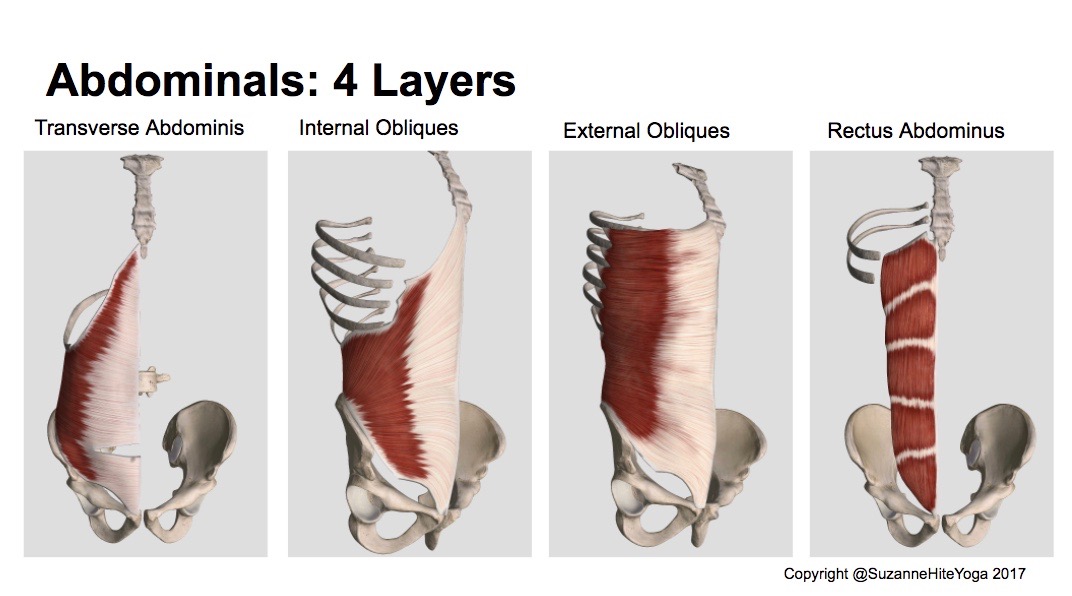 Media Kit – Suzanne Hite Yoga